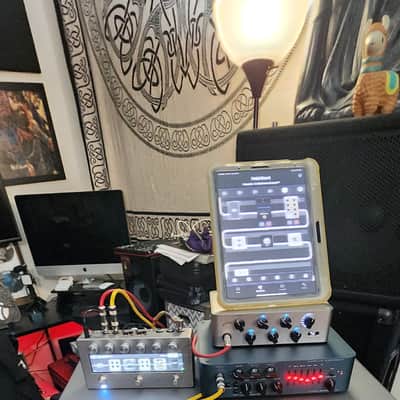 Darkglass Electronics Anagram 2025 - Present - Silver | Reverb