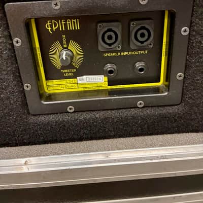 EPIFANI T-212 Bass Cabinet and Custom Road Case with Casters | Reverb