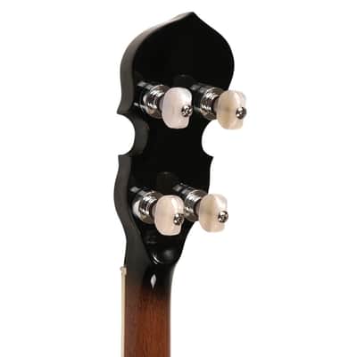 Gold Tone Model IT-250 Irish Tenor 4-String Open Back Banjo | Reverb