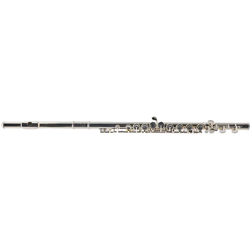Selmer SFL301 Closed Hole Student Flute SN J1225013 | Reverb