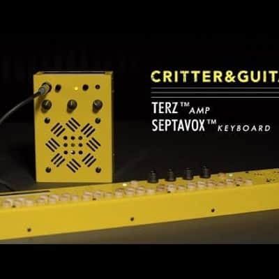 TMH011Y Critter & Guitari TERZ Amplifier, | Reverb