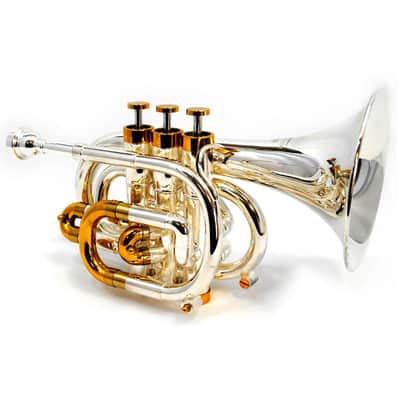 Schiller CenterTone Pocket Bb Trumpet – Silver & Gold Plated | Reverb