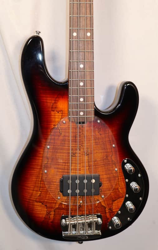 Sterling by MusicMan StingRay Spalted Maple 3-Color Sunburst | Reverb