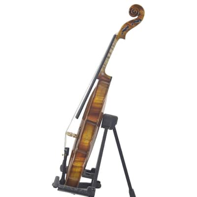 Pre-Owned Gianna Rose Vivace 4/4 Violin (2403340) | Reverb