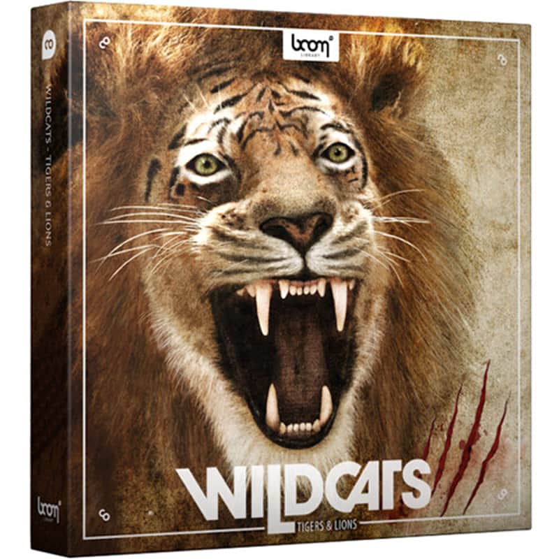 BOOM Library Wildcats: Professional Animal Sound Effects | Reverb
