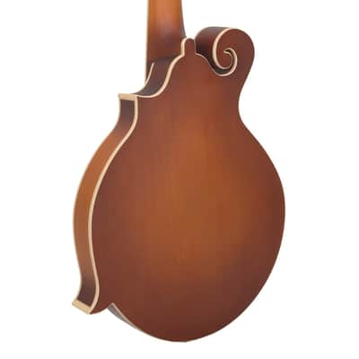 Gold Tone Mastertone F10 10-String F-Style Mandolin - Open | Reverb