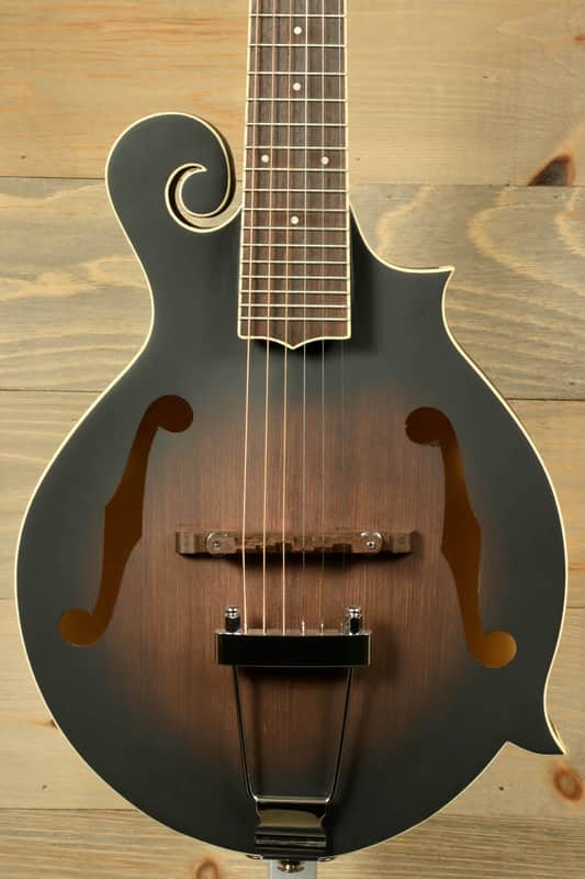 Gold Tone F-6 Mando-Guitar with Pickup | Reverb