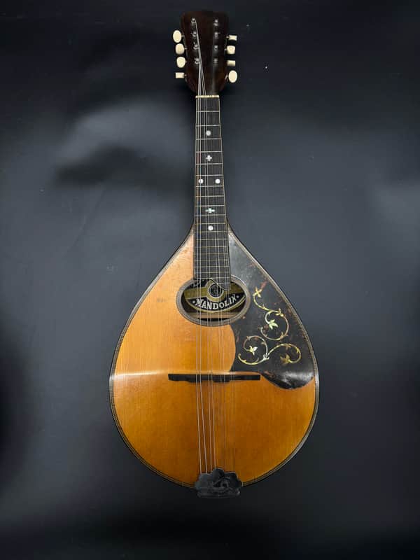 1920s Bruno (Regal) Mandolin and original case | Reverb