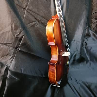 Amati's Fine Instruments Dvorak 2010s - Hand applied oil | Reverb