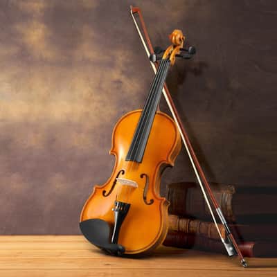 Cxxss 1/2 Acoustic Violin Basswood Full Sent Case Bow Rosin | Reverb
