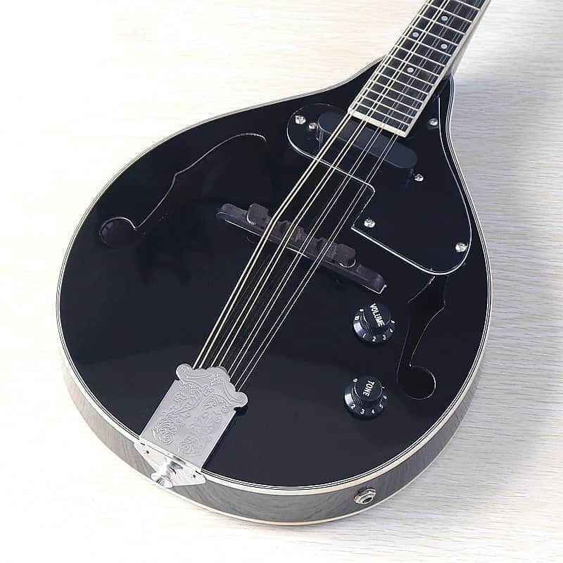 Black 8 String Electric Mandolin, Spruce Top Body, Okoume | Reverb