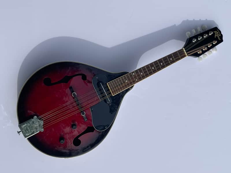 Rogue Electric Mandolin 2000’s - Wine Red | Reverb
