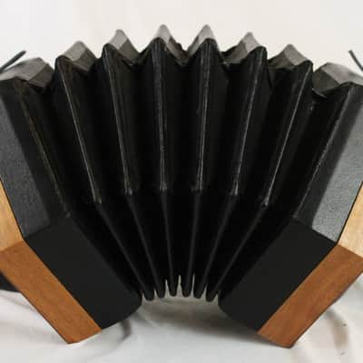 NEW Mahogany Bella Vista Erin Anglo Concertina CG M 30 | Reverb