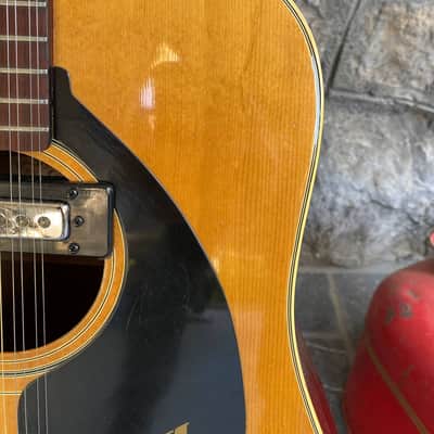 Vintage Aria 12-String Acoustic Guitar with Pickup – Model | Reverb