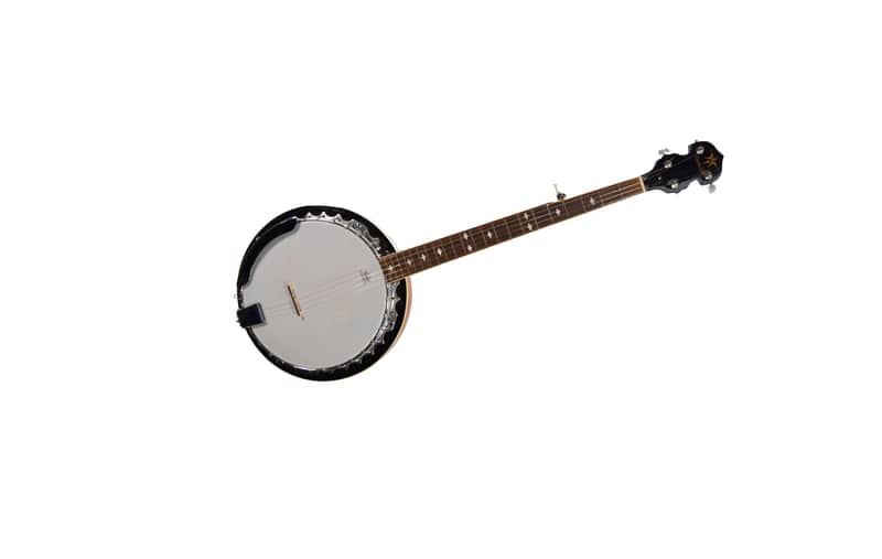 Danville BJ30 5 String Banjo w/ Gig Bag – Used - Natural | Reverb