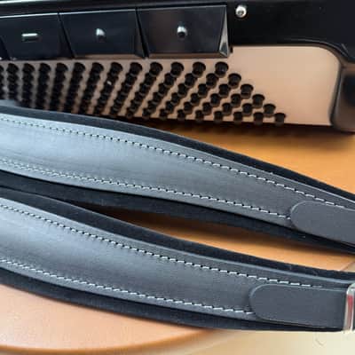 Guerrini Folk 120-Bass Accordion – 5 Reeds, Dual Dry/Musette | Reverb