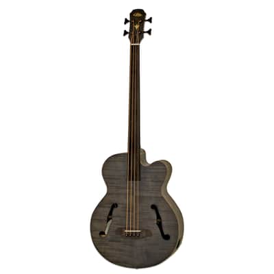 Aria FEB F2/FL Fretless Bass-Stained Black *USA Small | Reverb