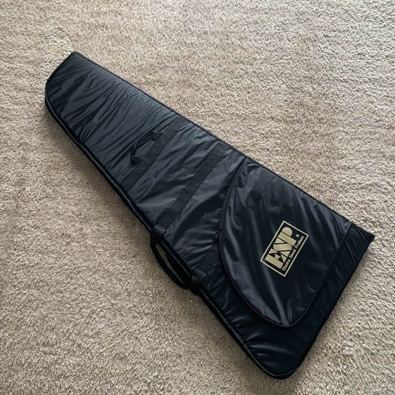 ESP LTD Electric Guitar BackPack Gig Bag Case | Reverb