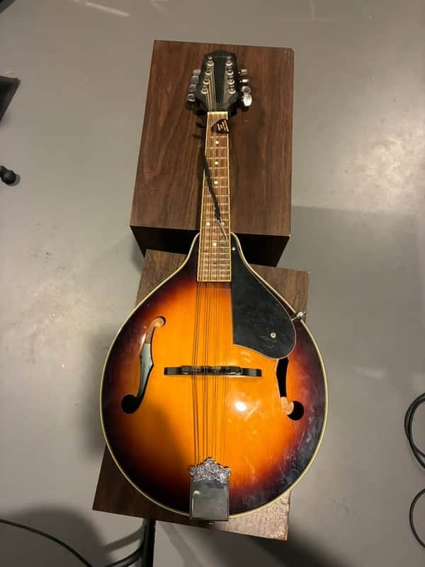 Hohner A-Style mandolin | Reverb