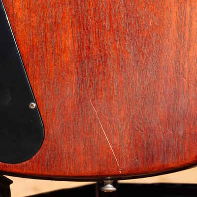 ♦️ Gibson SG Special Faded ♦️with Ebony Fretboard 2003 - | Reverb UK