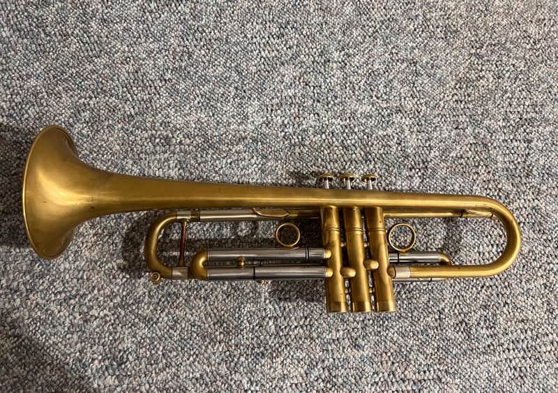 Thane Standard Series Bb Trumpet - Raw Brass | Reverb