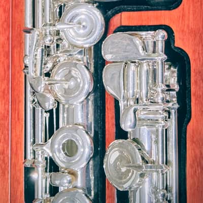 Matija L-Series Sterling Silver Flute - C# Trill - B Foot - | Reverb