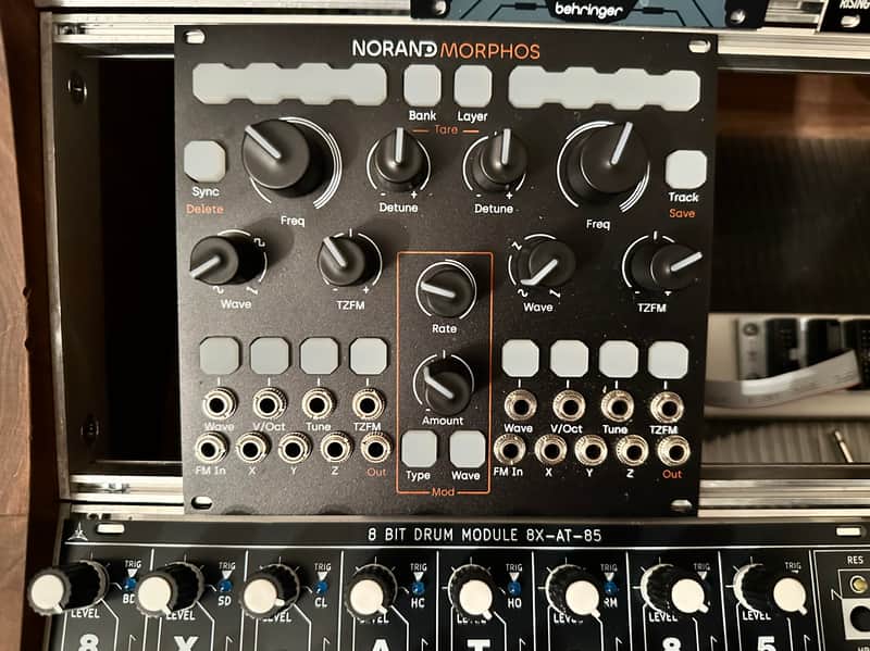 Norand Morphos Eurorack Thru Zero FM oscillator module | Reverb