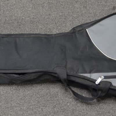 Danville BJ30 5 String Banjo w/ Gig Bag – Used - Natural | Reverb