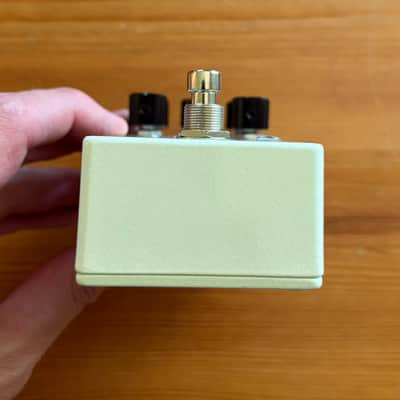 Nocturne Brain Anointed 2026 - White | Reverb