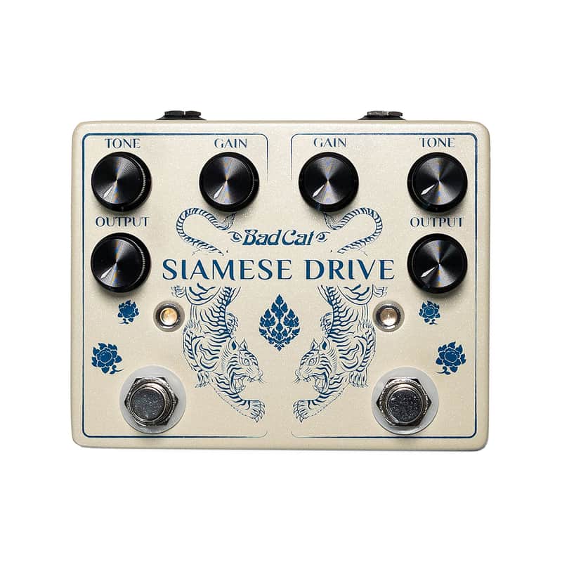 Bad Cat Siamese Dual Harmonic Overdrive | Reverb