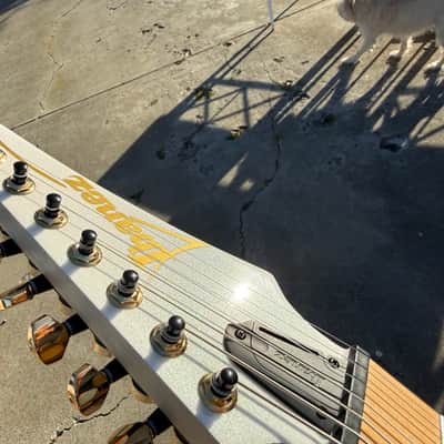 Custom Ibanez 7 string | Reverb