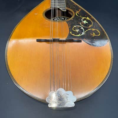 1920s Bruno (Regal) Mandolin and original case | Reverb