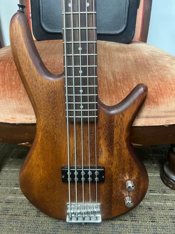 Ibanez GSR105EX 5 String Bass Guitar WITH Gator Hard Case | Reverb
