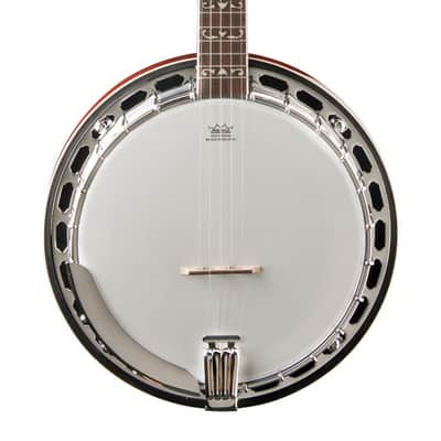 Washburn B16 Americana Series 5 String Banjo - Tobacco | Reverb