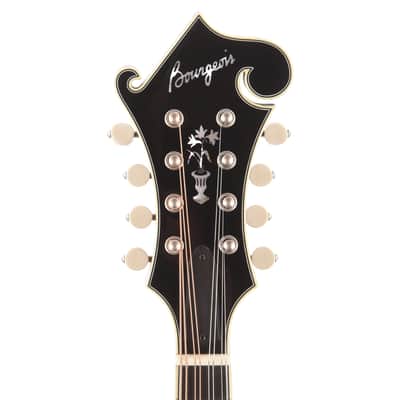 Bourgeois M5 F-Style Mandolin Aged Tone Torrefied | Reverb