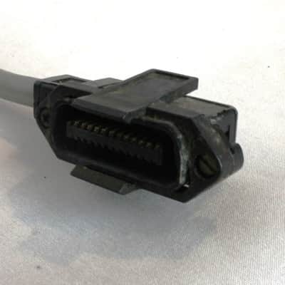 Farfisa Accordion Instrument Cable 24-Pin to Curved 24-Pin | Reverb