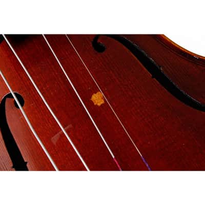 Ren Wei Shi Academy II Series Violin Outfit Regular 1/2 | Reverb