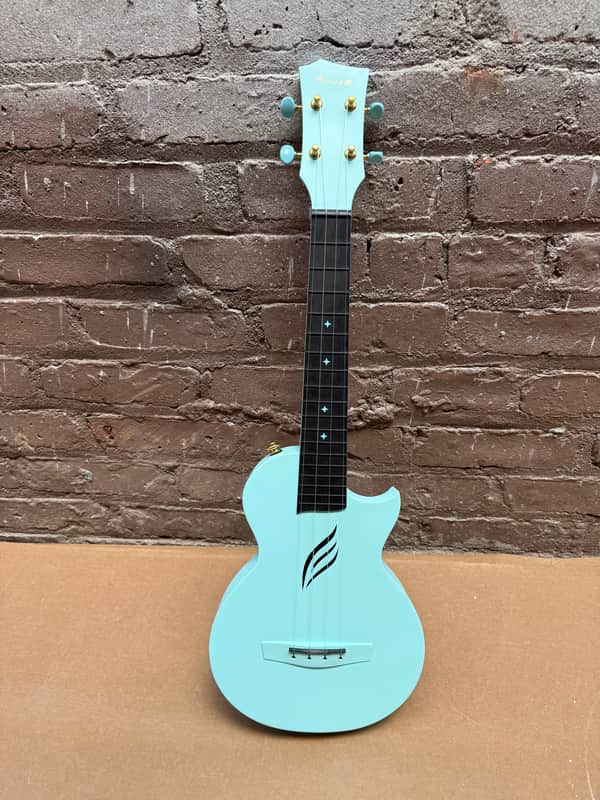 Enya Nova U Mini Soprano Ukulele 21" Carbon Fiber – Seafoam | Reverb