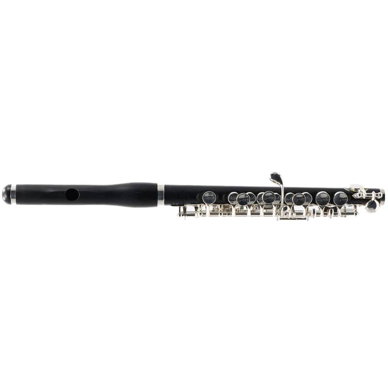 William S. Haynes AP86-W 'Amadeus' Wave Cut Grenadilla | Reverb