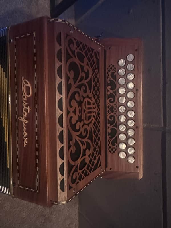 Castagnari Dinn III B/C 2022 - Walnut | Reverb