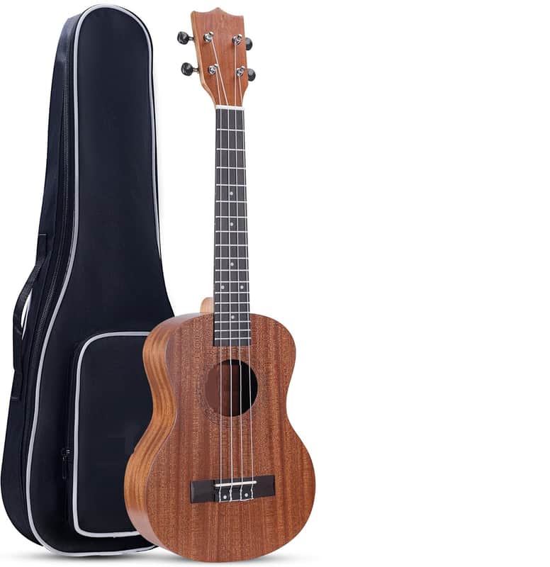 Ukulele Beginner Kit Mahogany Wood Ukelele Bundle Ukalalee | Reverb