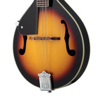 Stagg M20 Bluegrass Mandolin, Left-Handed Model | Reverb