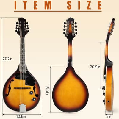 Mandolin Instrument A Style, Electric Acoustic Mandolins | Reverb