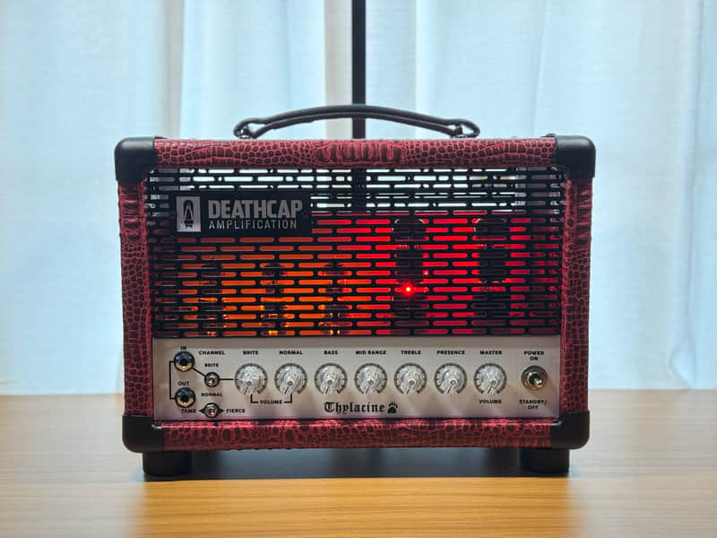 DeathCap Amps - Thylacine (Sunn Model T Tube Guitar Amp & | Reverb