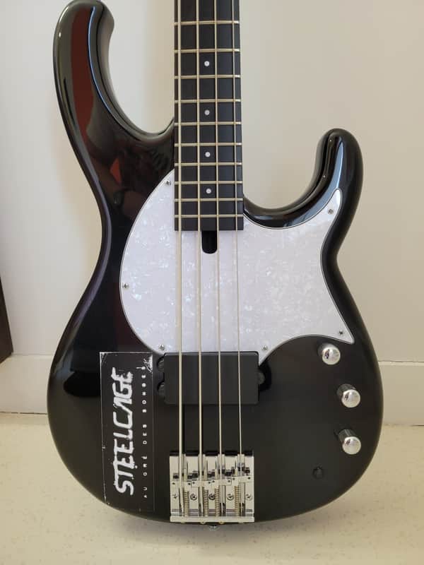 Modulus bass FB4 funk unlimited fleabass 2005 | Reverb