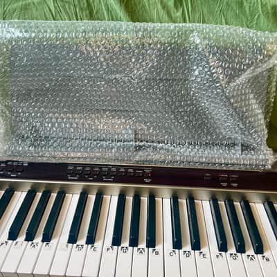 Casio Privia PX-110 88 Key Digital Piano Mid 2000s - Silver | Reverb