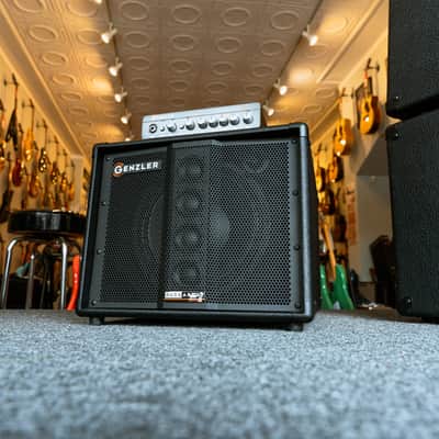 Genzler Magellan 350 Combo w/ Series 2 Bass Array 10" | Reverb