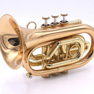 New and in Stock! Carolbrass CPT-3000-GLS-Bb-L Pocket Trumpet | Reverb