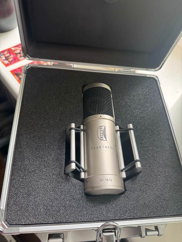 Brauner Panthera Large-Diaphragm Condenser Mic + Shockmount & | Reverb