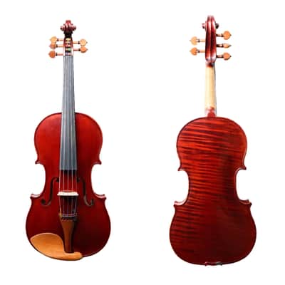 5-String 4/4 Handmade Violin Outfit 1pc Back Italian Spruce | Reverb